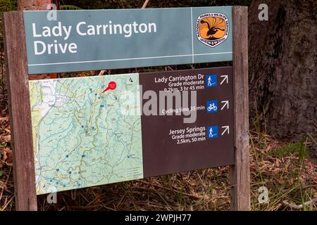 Lady Carrington Drive information board sign with local map, Audley ...