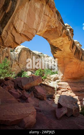 Hickman Bridge, a large, natural arch at Capitol Reef National Park in ...