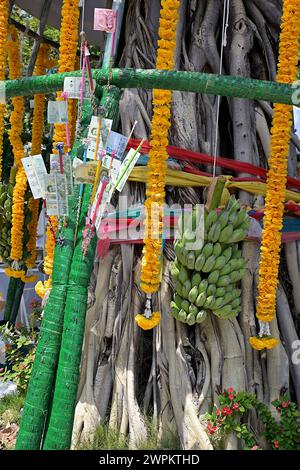 A 'money tree' with Thai baht notes of different denominations ...