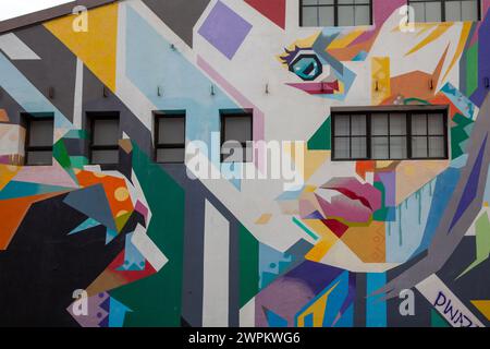 Graffiti on Building in Woodstock , Cape Town - South Africa Stock ...