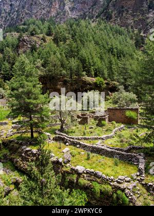 Ruins of the settlement of Samaria, Samaria Gorge, Crete, Greece Stock ...