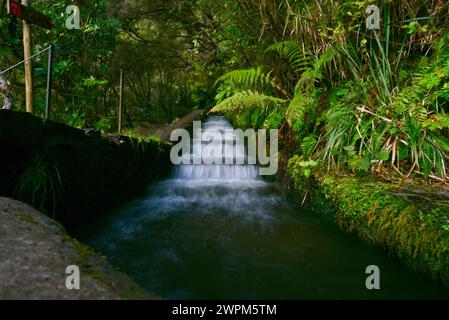 Cascading agricultural canal, levada, with water flowing down along ...