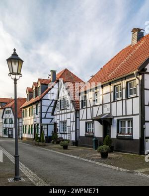 Medieval downtown of Westerhof Stock Photo - Alamy