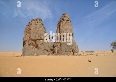 Rock carving depicting the so-called crying cow in the Algerian desert ...