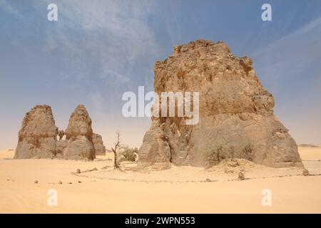 Rock carving depicting the so-called crying cow in the Algerian desert ...