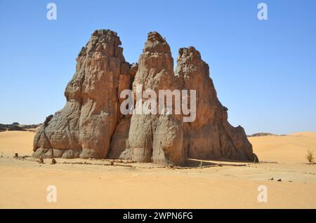 Rock carving depicting the so-called crying cow in the Algerian desert ...