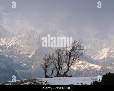Vogel Heart Triglav Stock Photo - Alamy