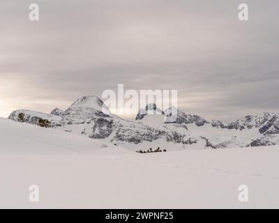 Snowshoe hike around the Krippenstein with views of the Dachstein ...