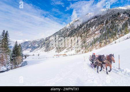 Hüttschlag: horse sled, Großarler Ache Valley, wooden huts, mountains ...