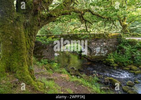 The historic Norsworthy Bridge over the River Meavy, Dartmoor, Devon ...
