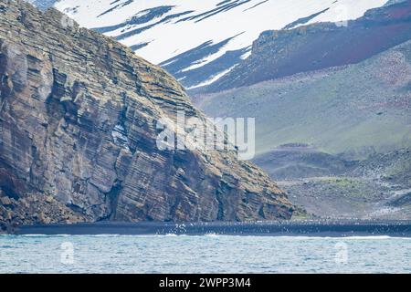 Layers of volcanic ash deposits form the cliff on the coast. Deception ...