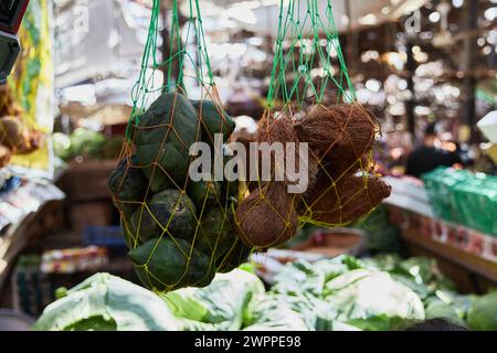 Coconuts and avocados in a mesh bag on the Egyptian market. Fresh ...