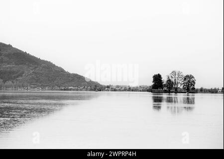 India, Kashmir, Srinagar, Char Chinar Island on Dal Lake Stock Photo ...