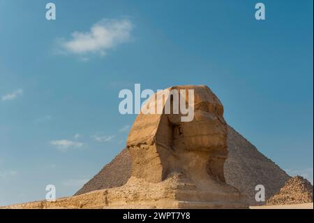 Sphinx of Giza, desert, wonder of the world, building, sculpture ...