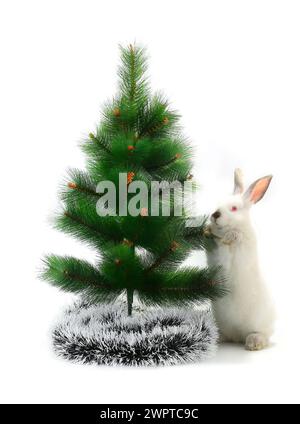 Adorable Christmas bunny rabbit under the tree isolated on white ...