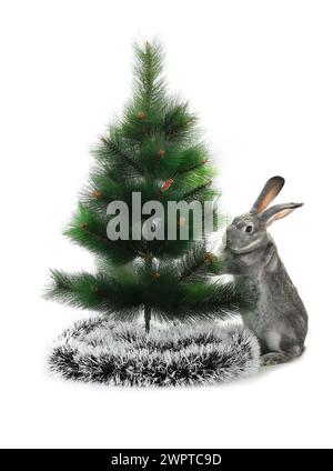 Adorable Christmas bunny rabbit under the tree isolated on white ...