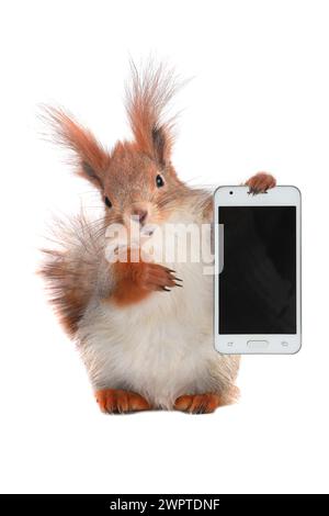 squirrel with the mobile phone on a white background Stock Photo - Alamy