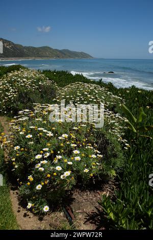 The Cliff House Inn Stock Photo - Alamy