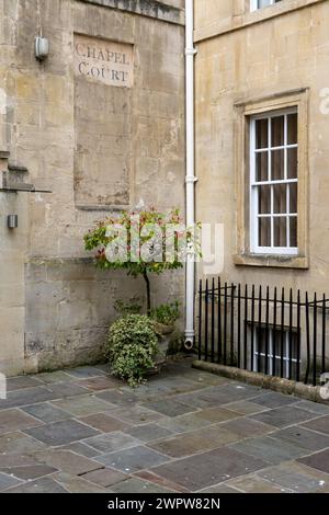 Chapel Court in Bath, Somerset, UK Stock Photo - Alamy