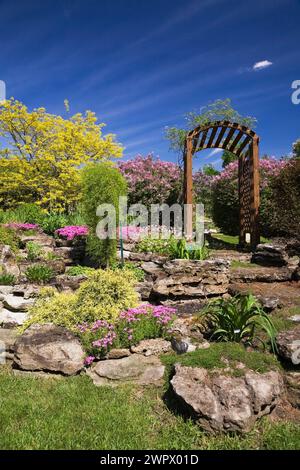 Wooden arbour with Gleditsia triacanthos inermis 'Sunburst' - Honey ...