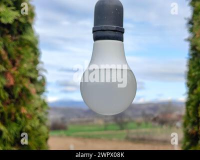 Enchanted garden . Light bulb amongst verdant vistas. Floating in the ...