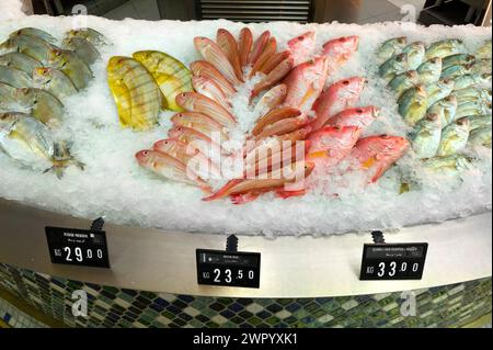 Old Port fish market,Qatar, Doha Stock Photo - Alamy