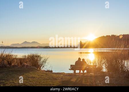 lake Wallersee at sunset, couple on bench, Alps Neumarkt am Wallersee ...