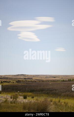 Croatian bird reservation and stopover during autumn migration Stock ...