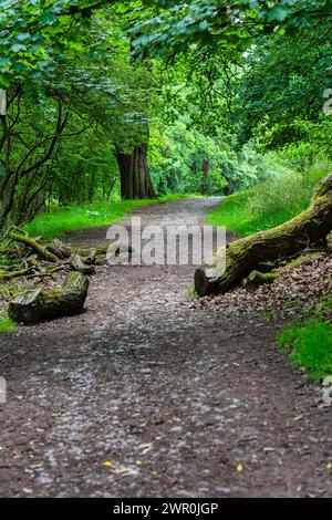 Derwent Edge path, Peak District UK Stock Photo - Alamy