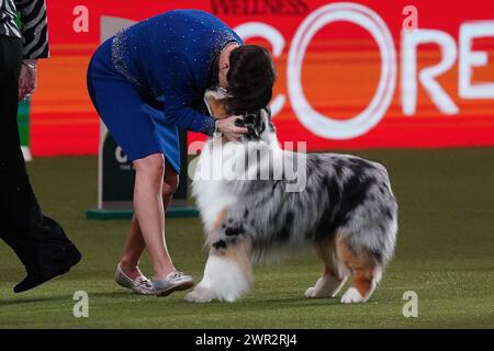 Pastoral Group winner Viking, an Australian Shepherd, who has won Best ...