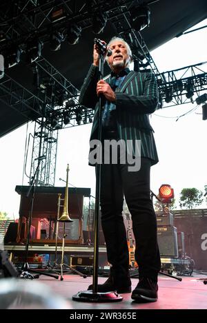 Rock musician performing at concert Stock Photo - Alamy