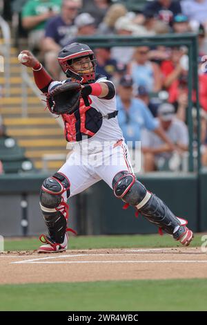 Washington Nationals catcher Riley Adams (15) in the second inning of a ...