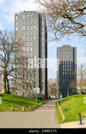 High rise tower blocks student accommodation, South Towers, University ...