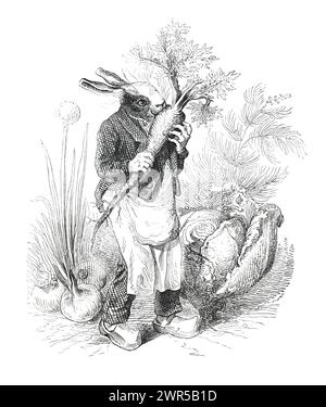 Anthropomorphic animals. humanized rabbit. cyborg animals. CRISPR. CAS9 ...