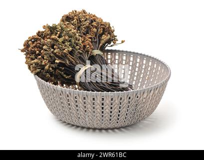 Dry fern bracken on white background Stock Photo - Alamy