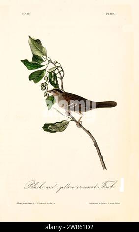 Green leaves wall background decorative texture Stock Photo - Alamy