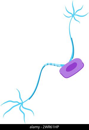 neuro neurons cartoon vector illustration Stock Vector Image & Art - Alamy