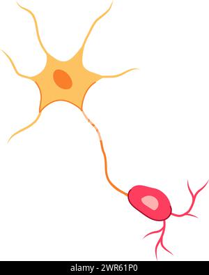neuro neurons cartoon vector illustration Stock Vector Image & Art - Alamy
