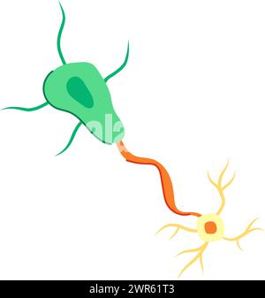 synapse neurons cartoon vector illustration Stock Vector Image & Art ...