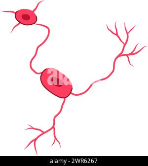 neuro neurons cartoon vector illustration Stock Vector Image & Art - Alamy