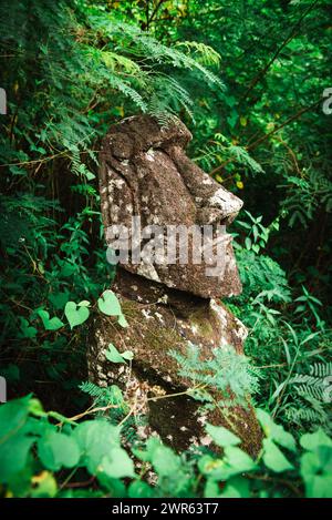 Moai Tiki Carving at Tohua Koueva Archaeological Site, Taiohae, Nuku ...