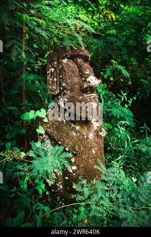 Moai Tiki Carving at Tohua Koueva Archaeological Site, Taiohae, Nuku ...