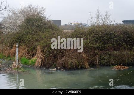 Slough, Berkshire, UK. 11th March, 2024. Thames Water are discharging ...