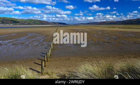 Spring on the Dyfi Estuary, Ceredigion Wales UK with blue sky and ...