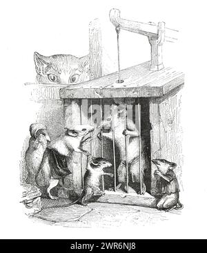 Anthropomorphic animals. humanized mouse. mice beats toy mouse. cyborg ...