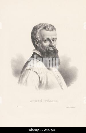 Portrait of Andreas Vesalius, Andreas Vesalius (title on object), print ...