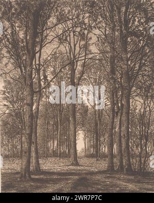 Landscape with trees, Alfred Elsen, 1878 print paper. etching forest ...