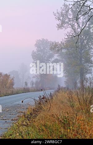 Morning, dense fog poses a threat on the roads Stock Photo - Alamy