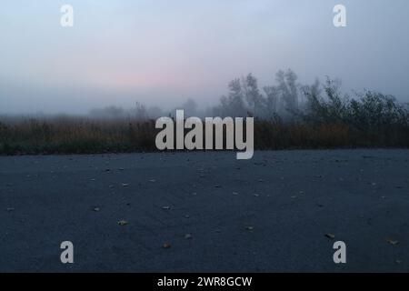 Morning, dense fog poses a threat on the roads Stock Photo - Alamy