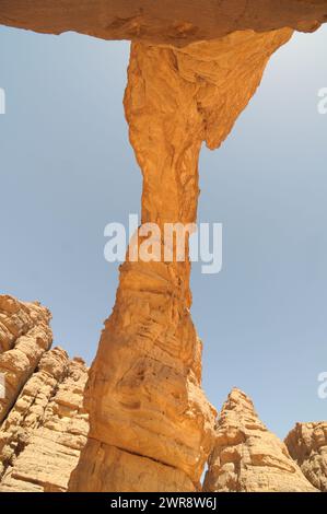 Erodible rock formations in shape of an elephant in the Sahara Desert ...